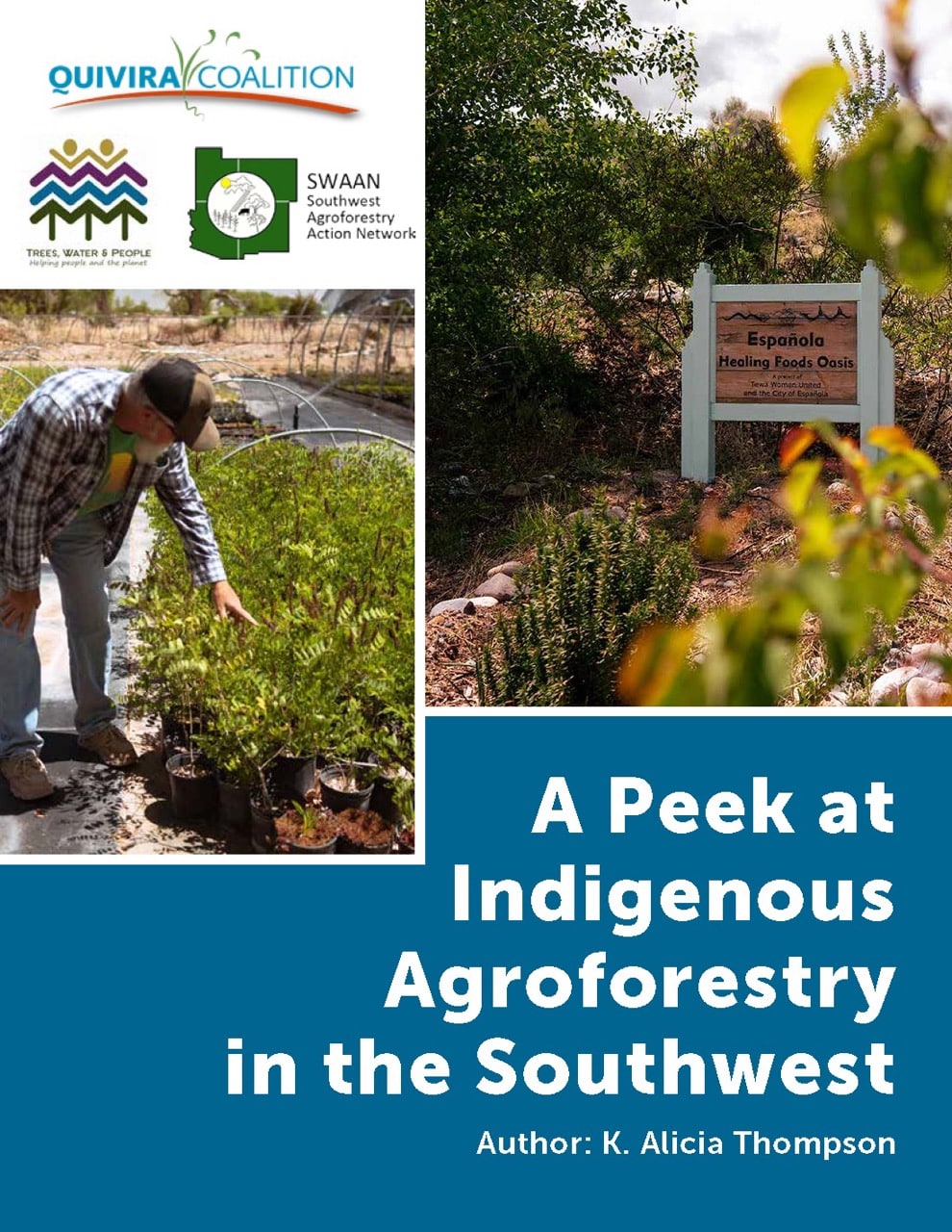 A Peek at Indigenous Agroforestry - Quivira Coalition