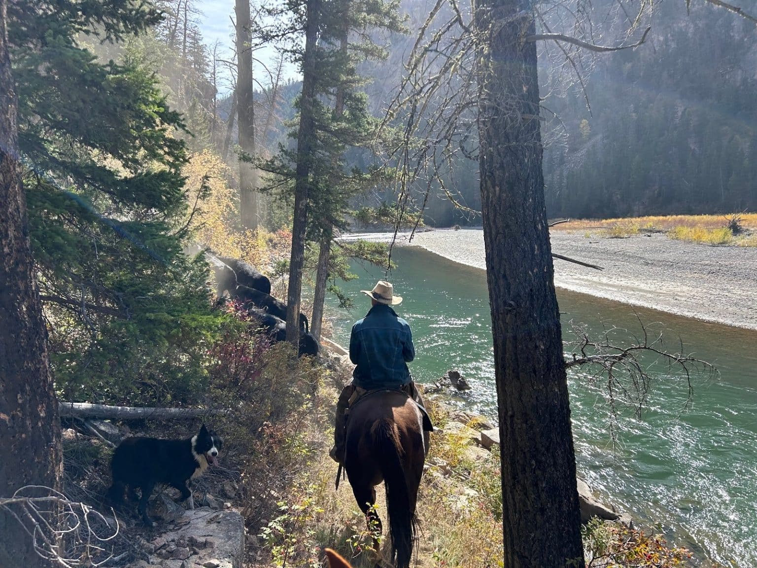 Switchback Ranch - Quivira Coalition