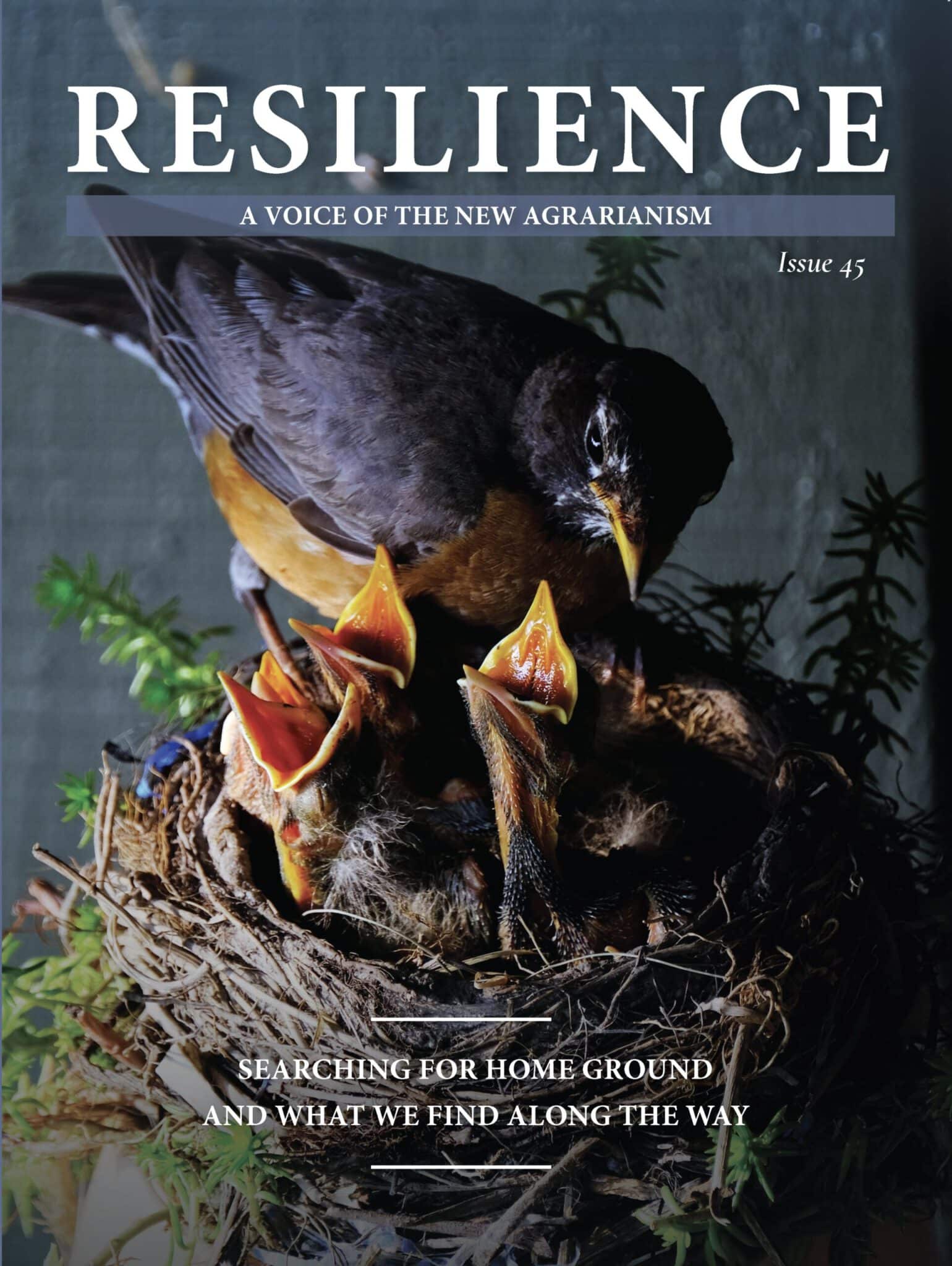 Resilience - Quivira Coalition