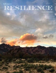 Resilience, Issue #42 – Reflections on Resilience in Uncertain Times, December 2020 - Quivira ...